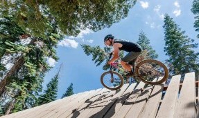 All-City Electric Queen | All-City Cycles